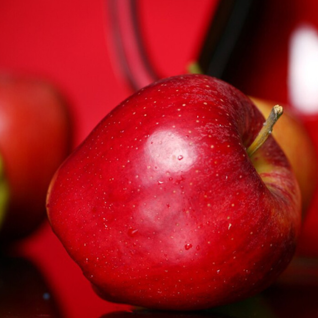 International fruits and Vegetables | Go Fruit