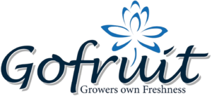 Premium Fruits and Vegetables | Go Fruit