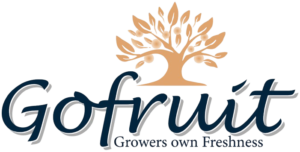 Premium Fruits and Vegetables | Go Fruit